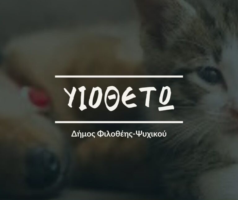 ΔΗΜΟΥ ΦΙΛΟΘΕΗΣ ΨΥΧΙΚΟΥ - Δήμος Φιλοθέης - Ψυχικού