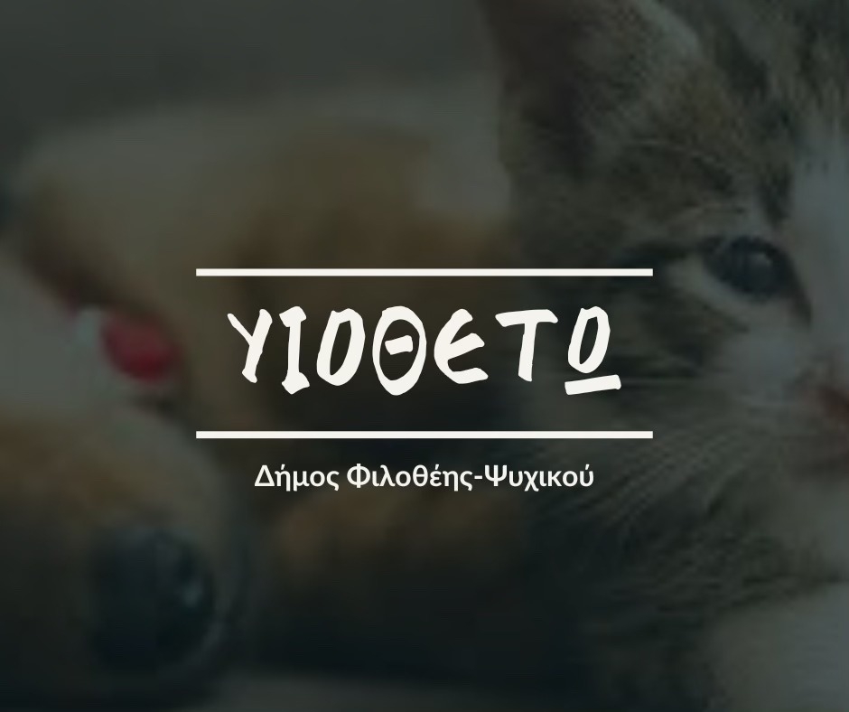 "Υιοθετώ" - Η νέα σελίδα του Δήμου Φιλοθέης Ψυχικού στο fb για τα ζώα ...